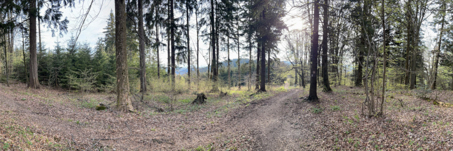 Pravá česká rasputica aneb poctivých 102 km na Špacíru Leoše Janáčka ...