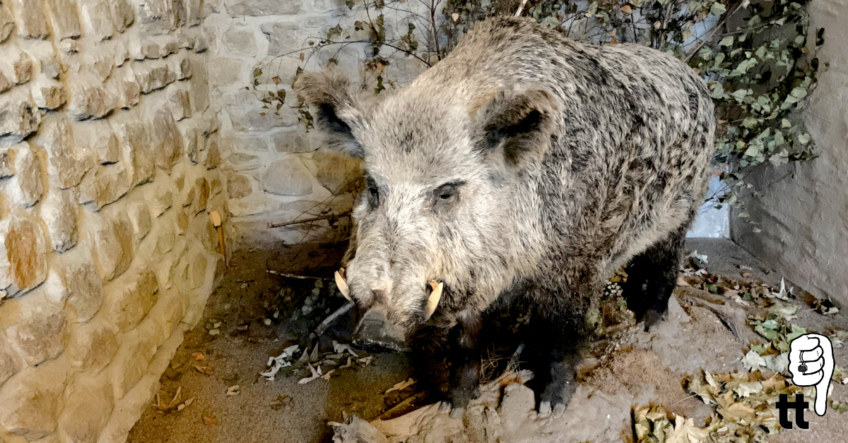 Y2KM (Jateční bilancování VIII) | Kultturista.cz – svéráz zdravého ...